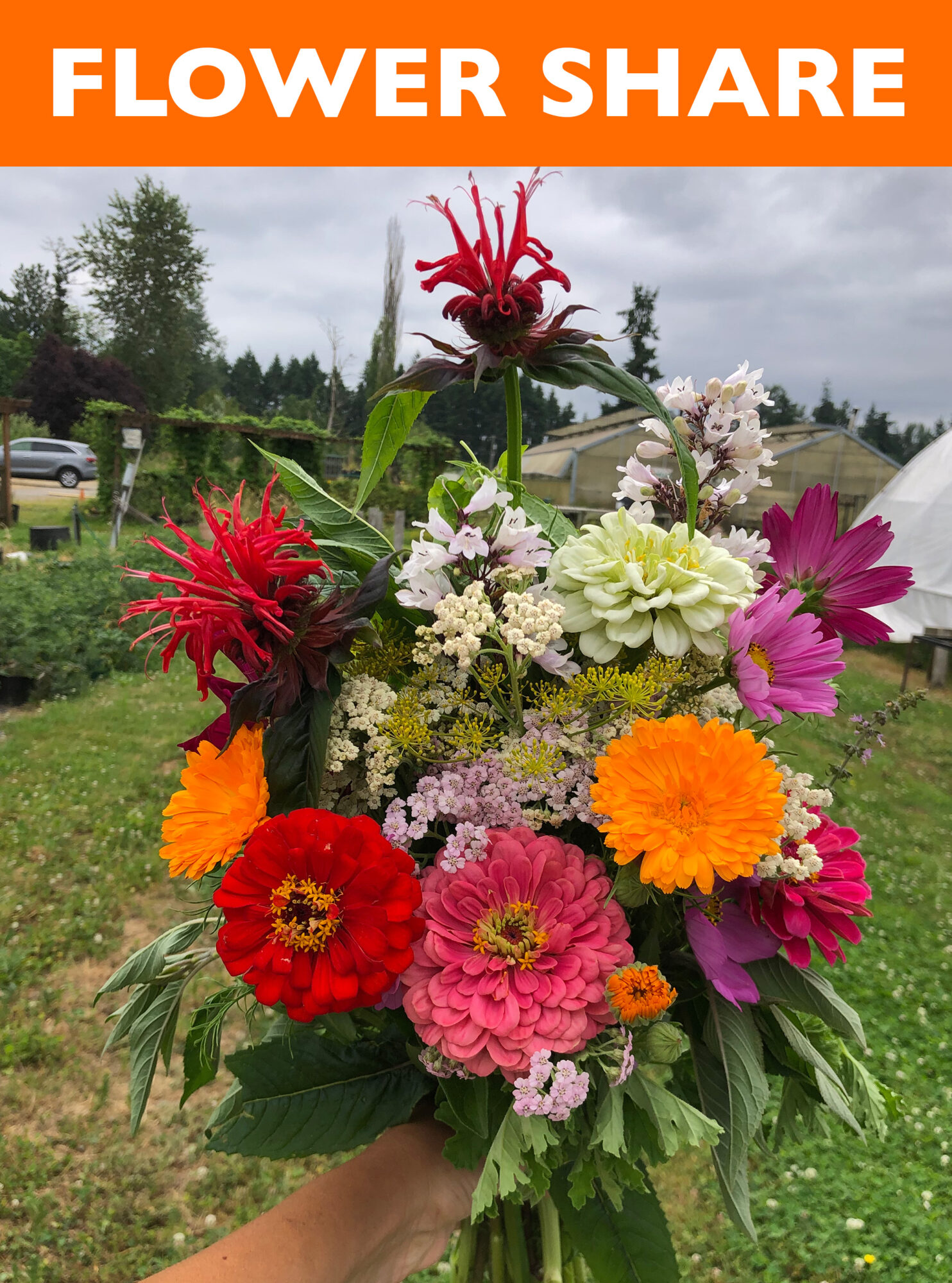 10 Week Fresh Flower CSA - L'Arche Tahoma Hope