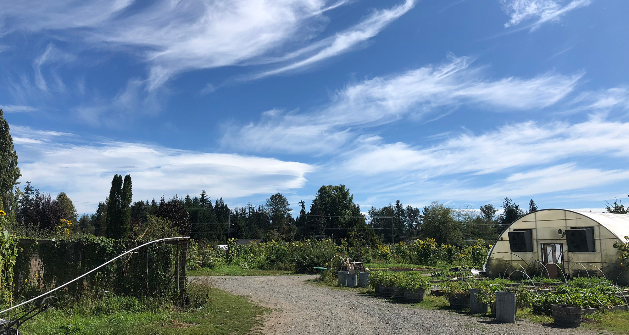 2025 Farm Visioning Update - L'Arche Tahoma Hope
